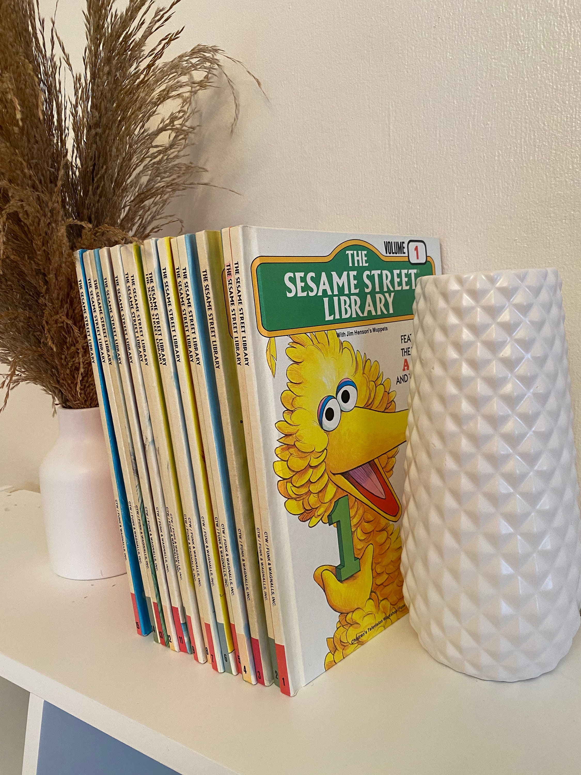 Sesame Street Library 15 Book Vintage Set - Etsy