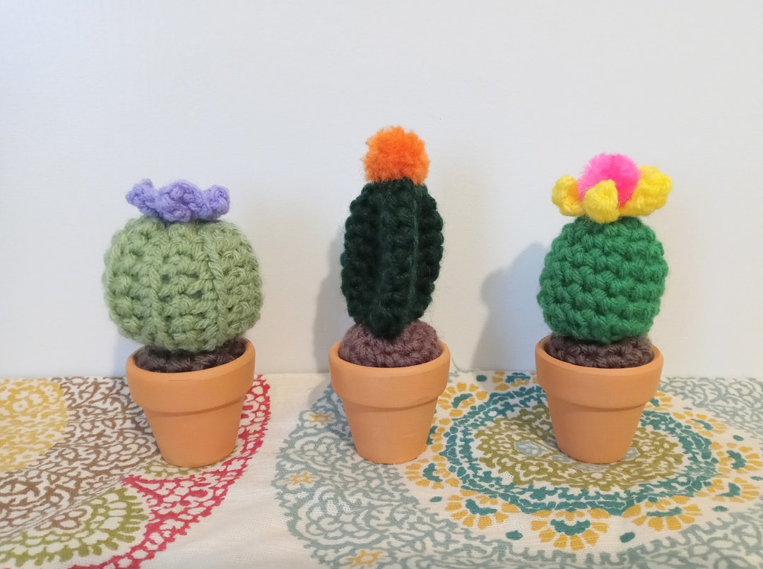 Crochet Cactus, Mini Cactus, Mini Succulents, Amigurumi, Home Decor ...