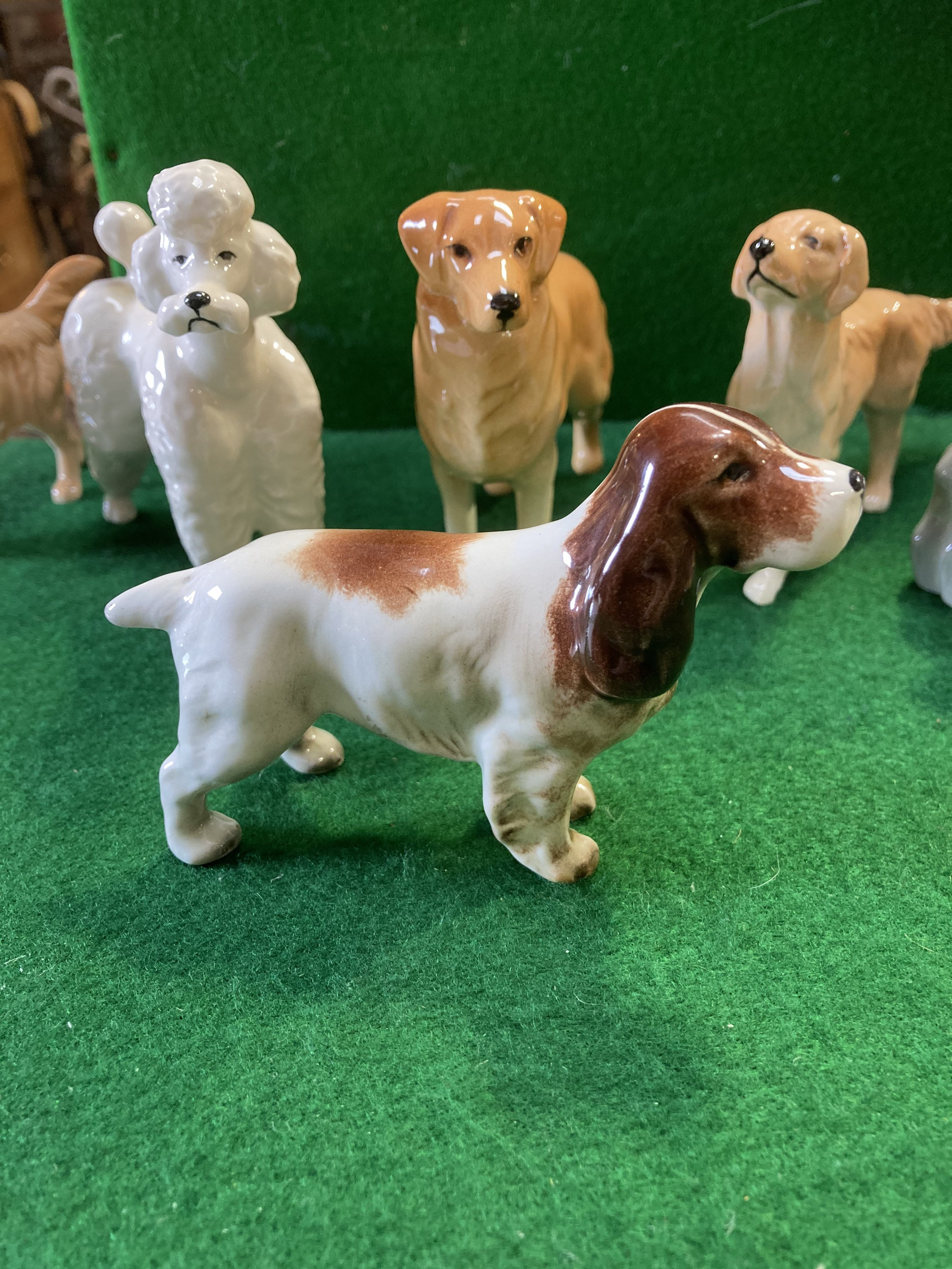 Beswick Cocker Spaniel. - Etsy
