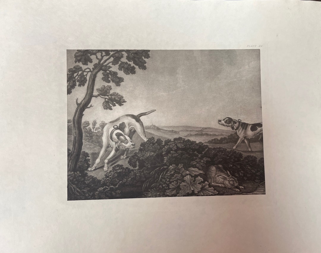 Arkwright’s the Pointer and His Predecessor Victorian Print - Etsy