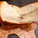Fresh Made Rum Soaked Raisins Japanese Hokkaido Milk Toast Loaf Bread ...