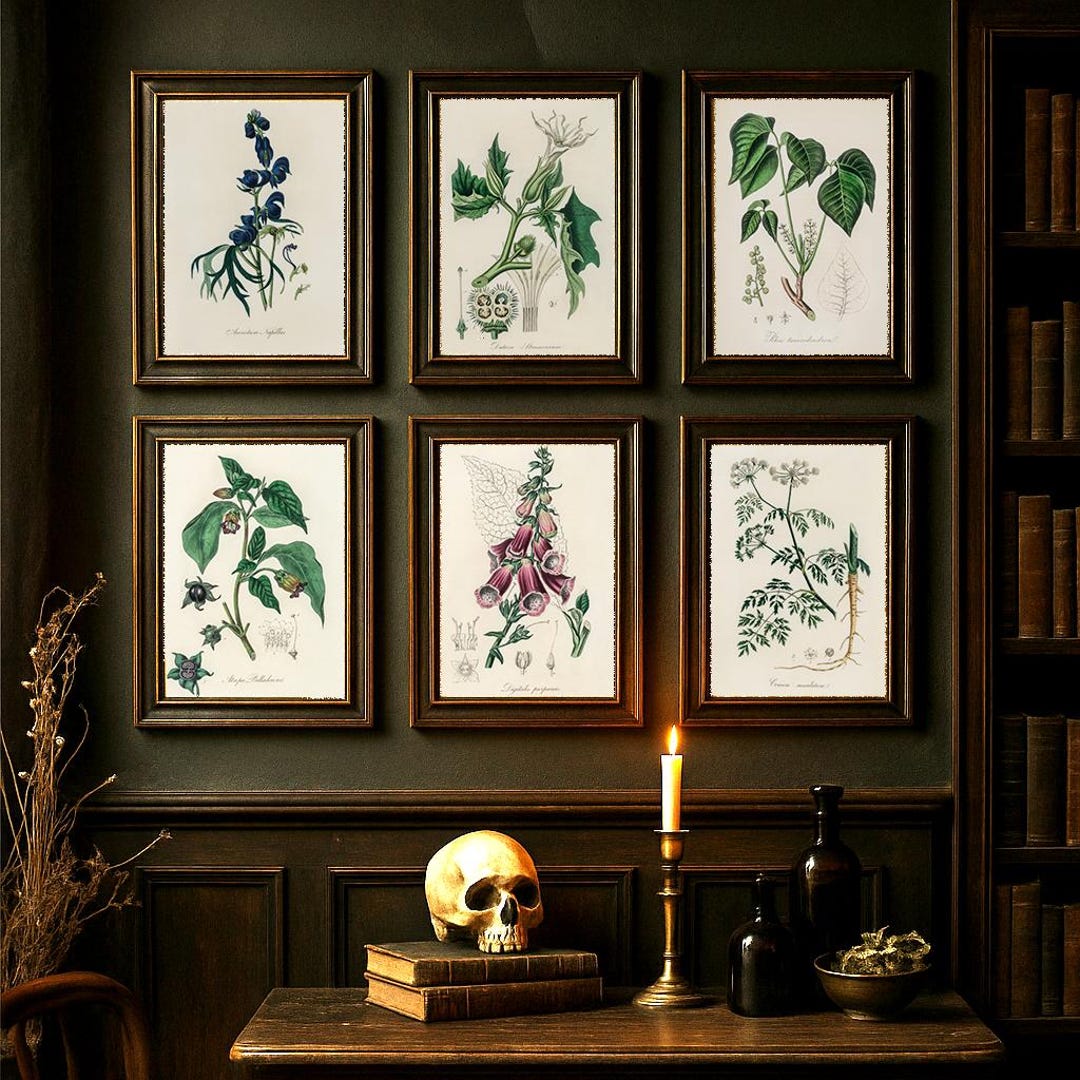 Dark Academia Poisonous Plants Wall Art Set of 6 | Gothic Wall Decor ...