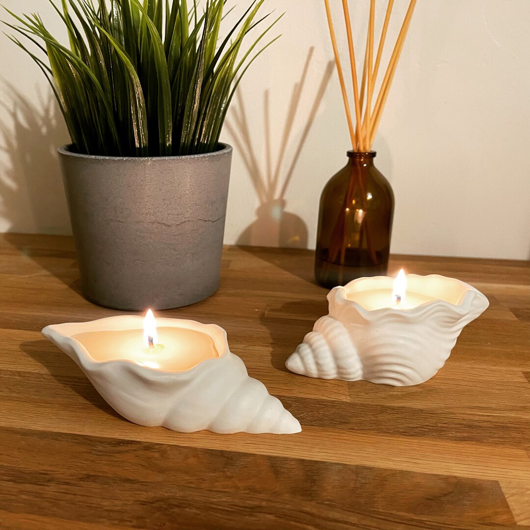 Conch Scented Candle Set Home Decor Neutral Gifts - Etsy