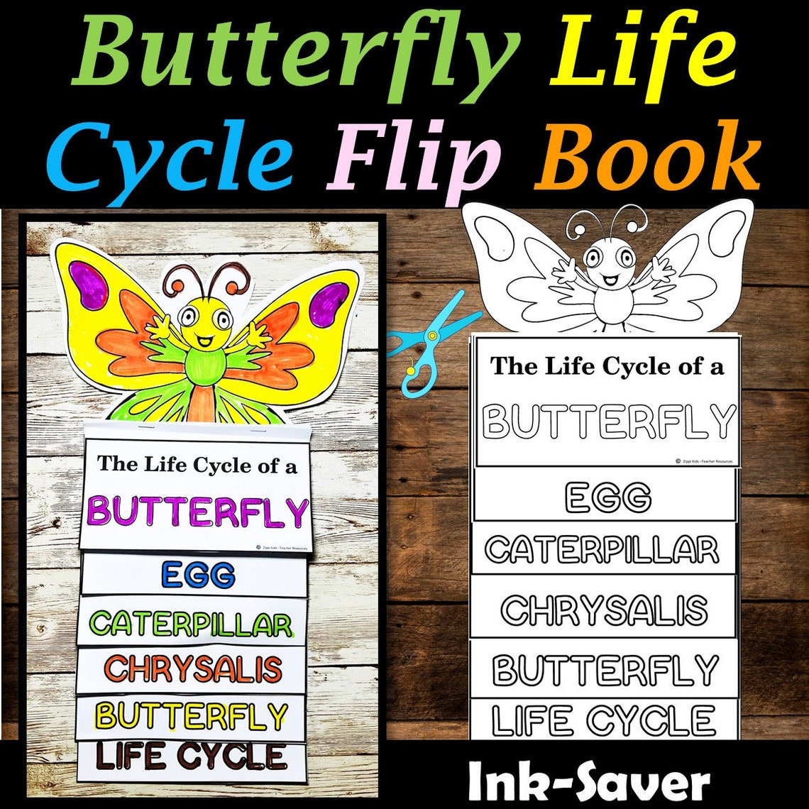 Life Cycle of a Butterfly Frog & Plant Flip Book Craft. - Etsy