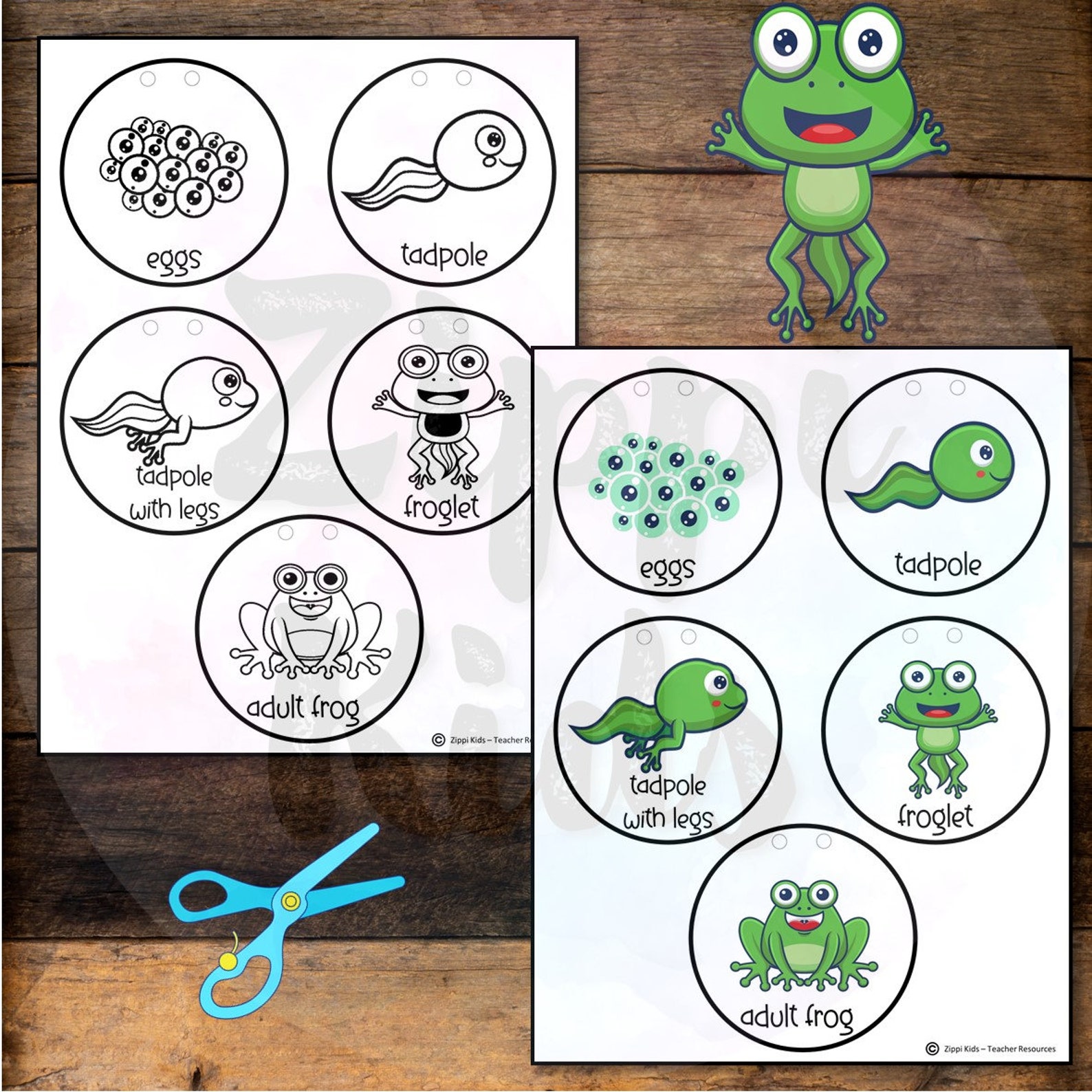 Life Cycle of a Butterfly Frog & Plant Necklace Craft. - Etsy