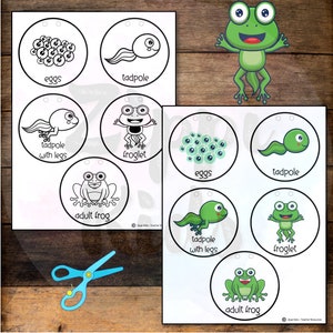 Life Cycle of a Butterfly, Frog & Plant Necklace Craft. Printable, Life ...