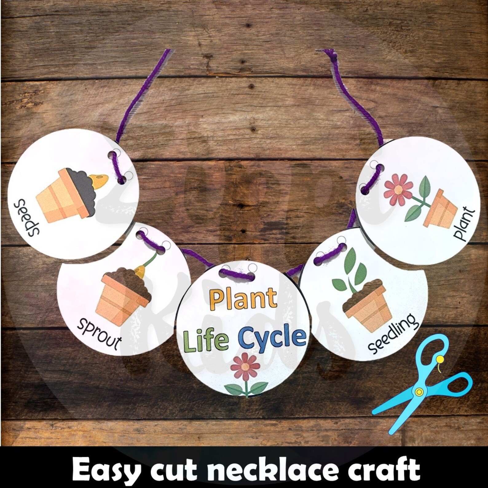 Life Cycle of a Butterfly Frog & Plant Necklace Craft. - Etsy