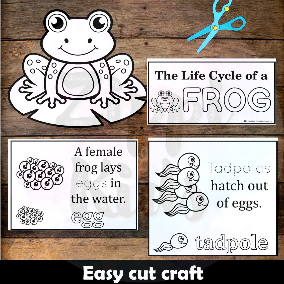 Life Cycle of a Butterfly Frog & Plant Flip Book Craft. - Etsy