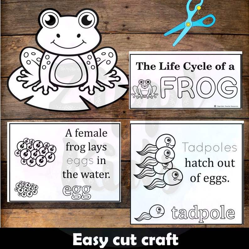 Life Cycle of a Butterfly, Frog & Plant Flip Book Craft. Printable Flip ...