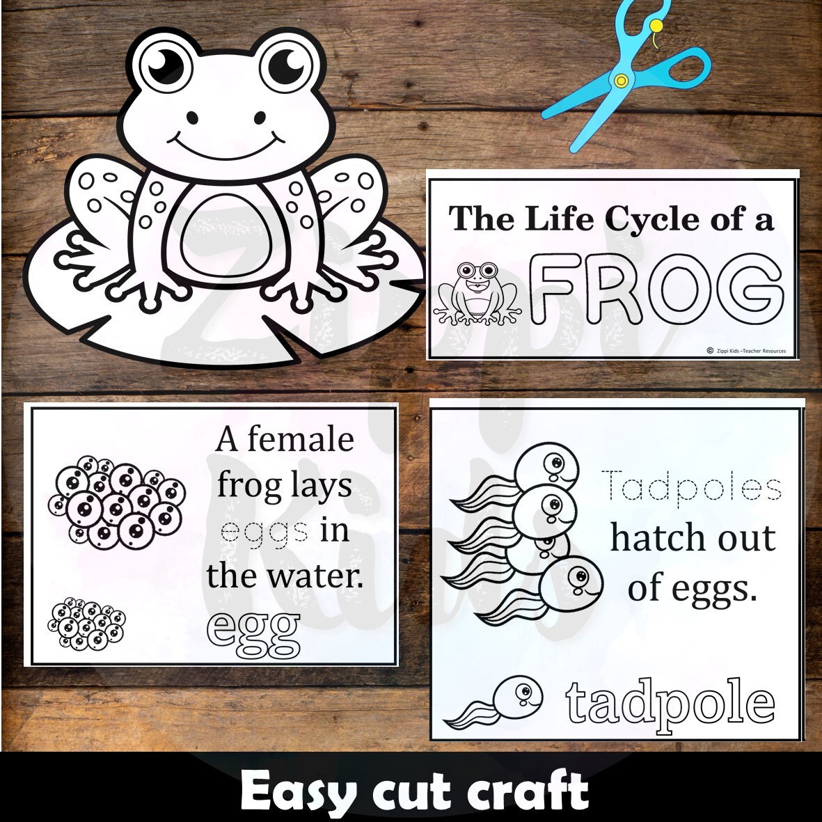 Life Cycle of a Butterfly, Frog & Plant Flip Book Craft. Printable Flip ...