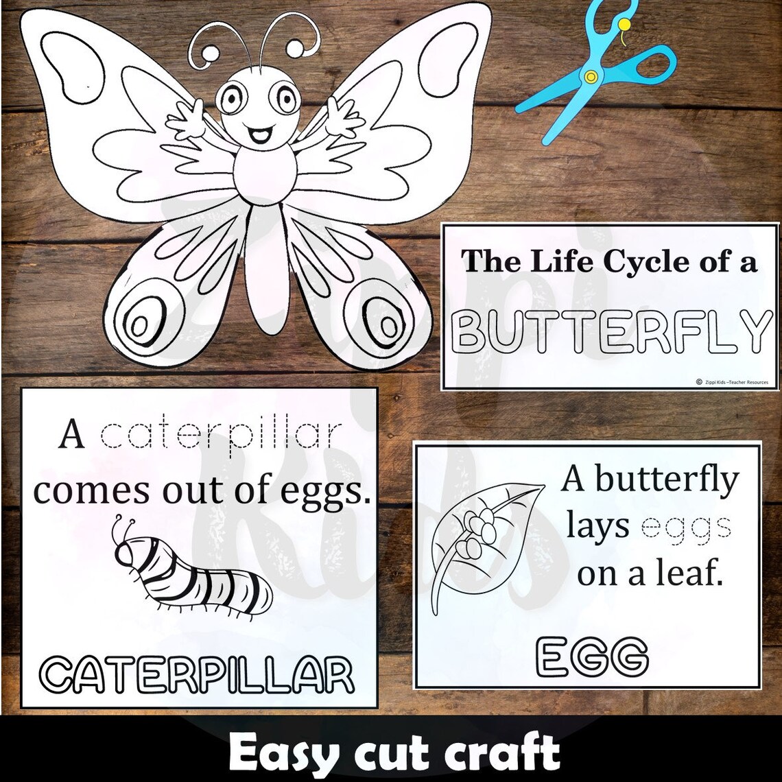 Life Cycle of a Butterfly Frog & Plant Flip Book Craft. - Etsy