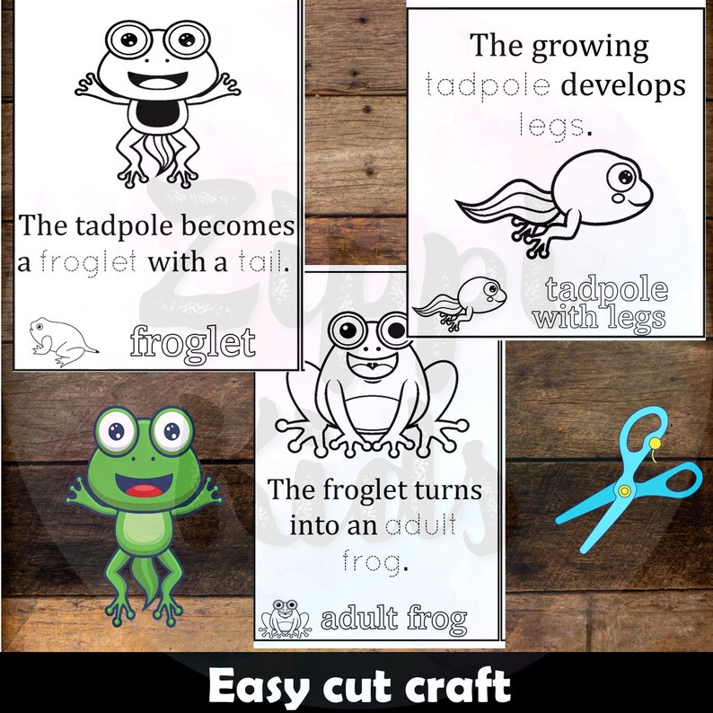 Life Cycle of a Butterfly, Frog & Plant Flip Book Craft. Printable Flip ...