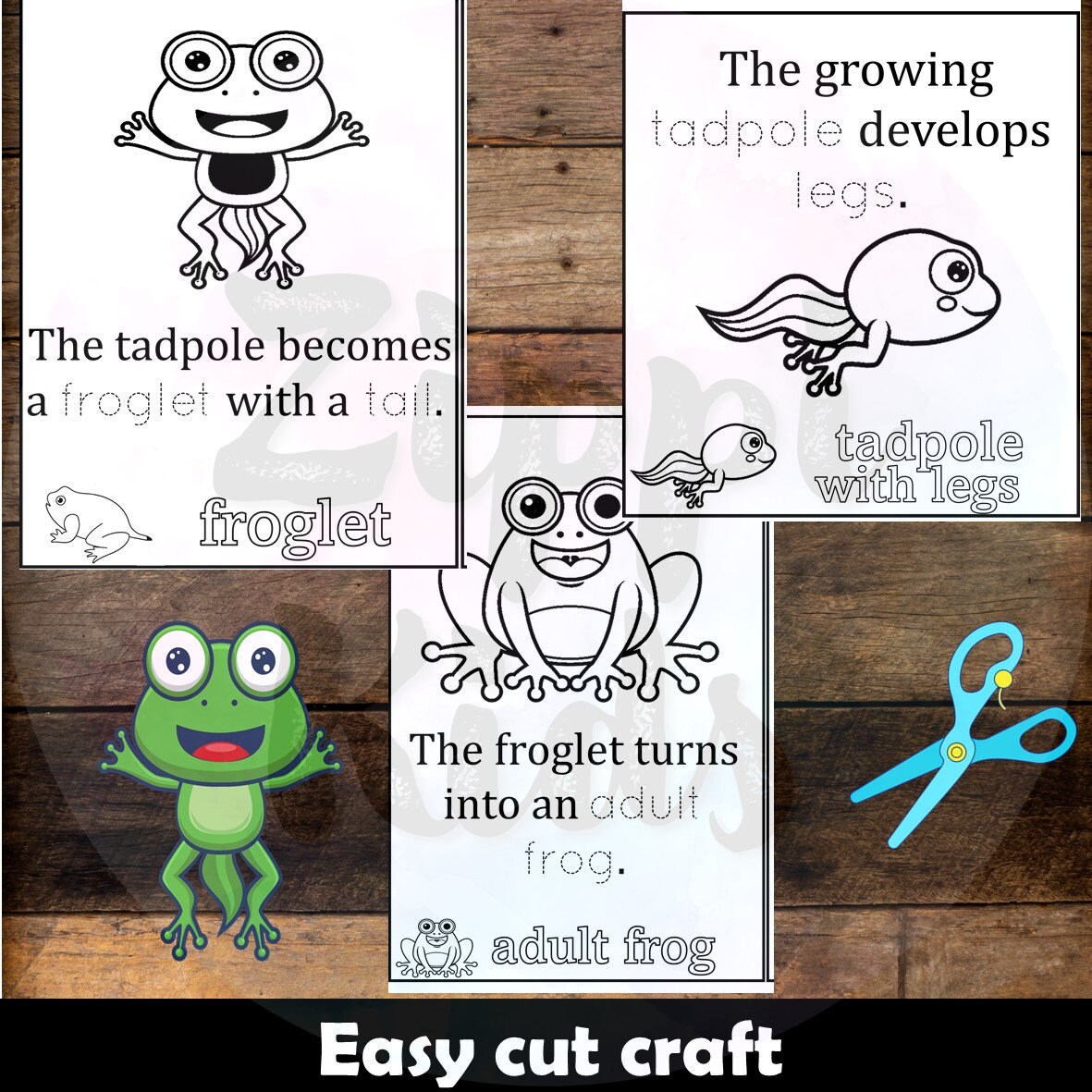 Life Cycle of a Butterfly, Frog & Plant Flip Book Craft. Printable Flip ...