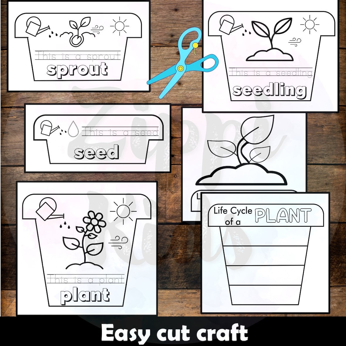 Life Cycle of a Butterfly Frog & Plant Flip Book Craft. - Etsy