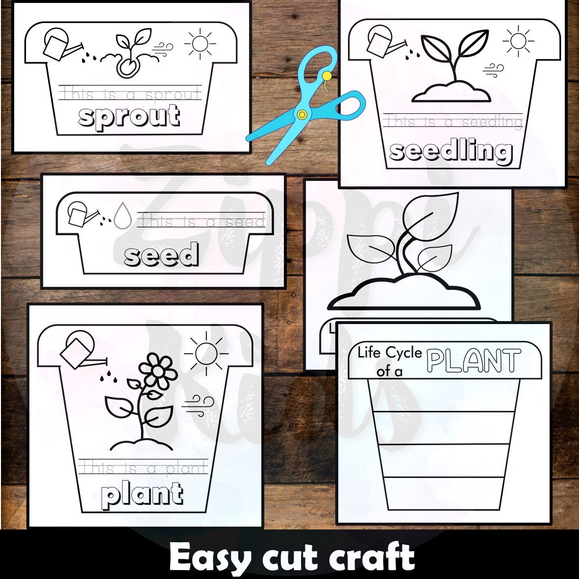 Life Cycle of a Butterfly, Frog & Plant Flip Book Craft. Printable Flip ...
