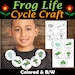 Life Cycle of a Butterfly, Frog & Plant Necklace Craft. Printable, Life ...
