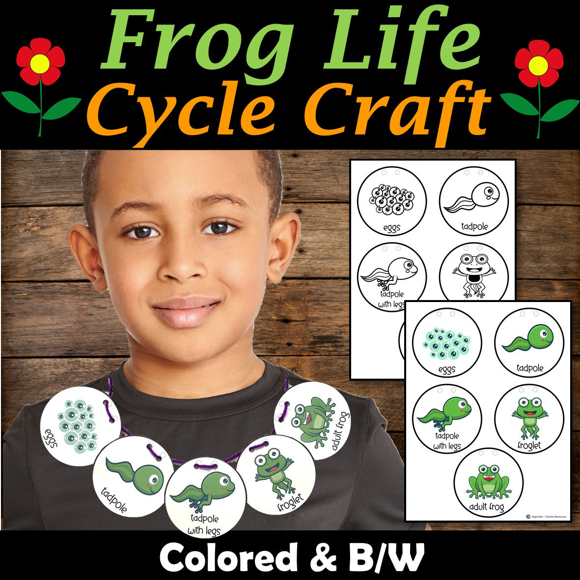 Life Cycle of a Butterfly, Frog & Plant Necklace Craft. Printable, Life ...