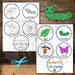 Life Cycle of a Butterfly, Frog & Plant Necklace Craft. Printable, Life ...