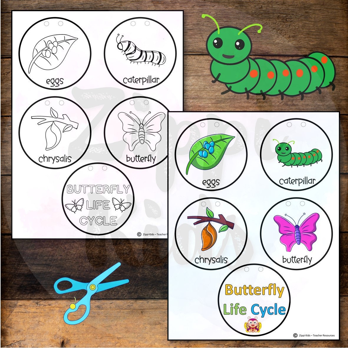Life Cycle of a Butterfly Frog & Plant Necklace Craft. - Etsy