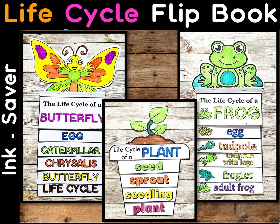 Life Cycle of a Butterfly, Frog & Plant Flip Book Craft. Printable Flip ...