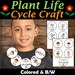 Life Cycle of a Butterfly, Frog & Plant Necklace Craft. Printable, Life ...
