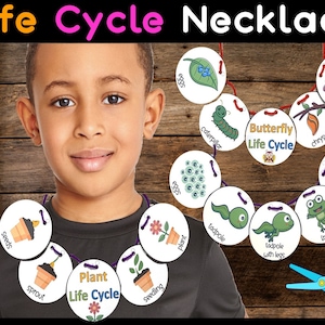 Life Cycle of a Butterfly, Frog & Plant Necklace Craft. Printable, Life ...