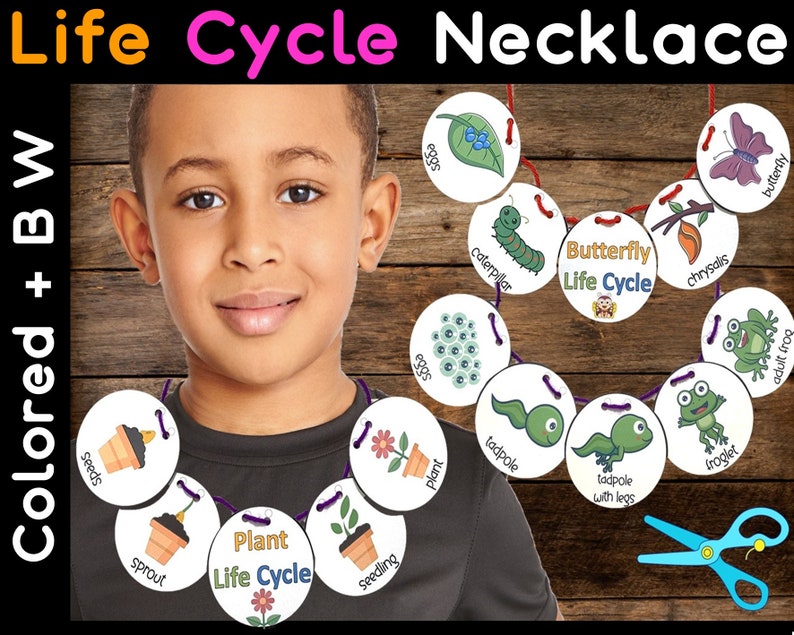 Life Cycle of a Butterfly, Frog & Plant Necklace Craft. Printable, Life ...