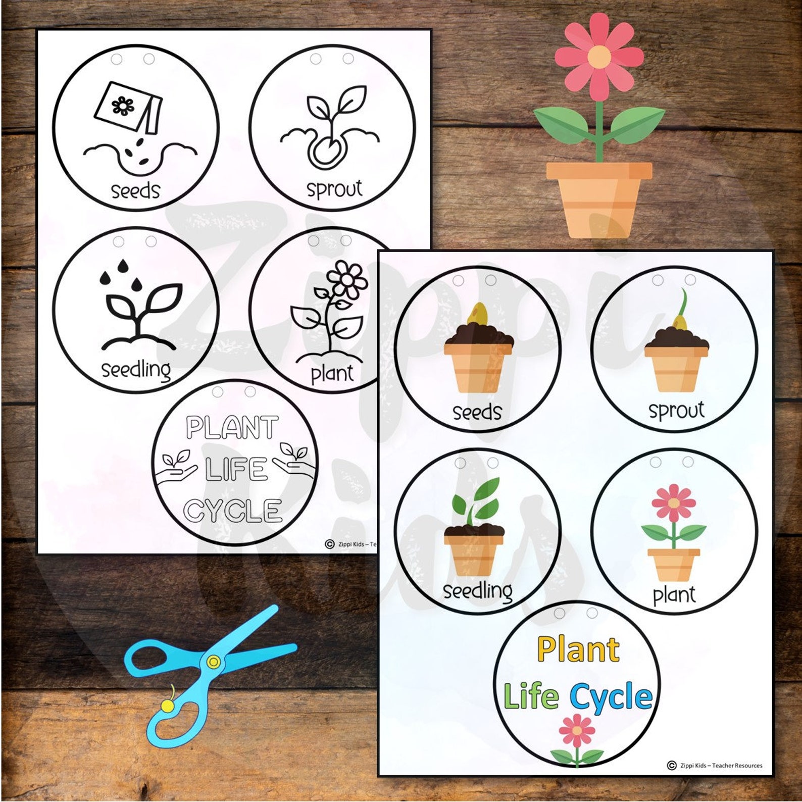 Life Cycle of a Butterfly, Frog & Plant Necklace Craft. Printable, Life ...