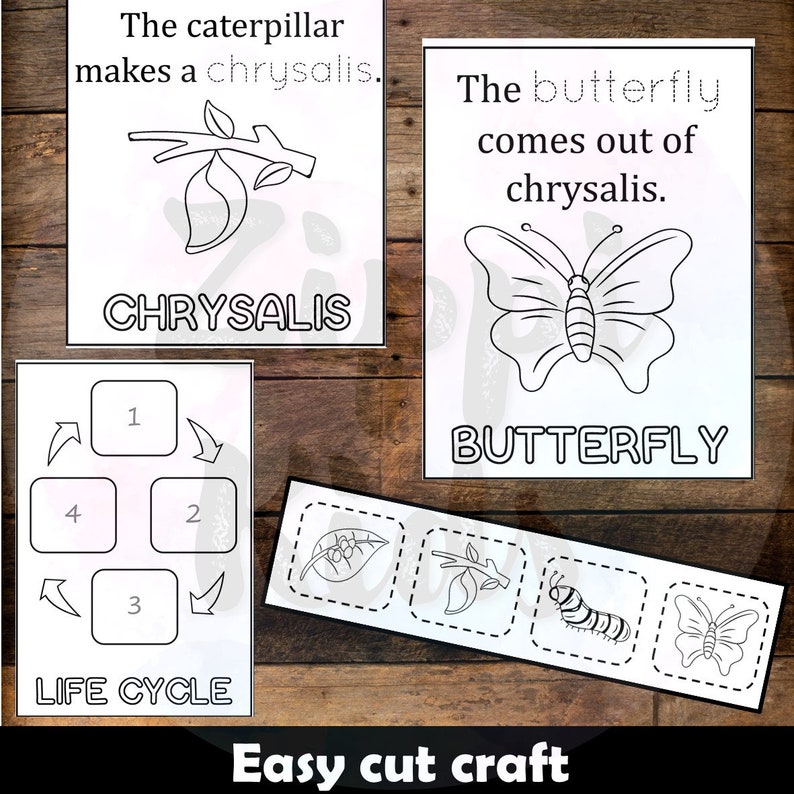 Life Cycle of a Butterfly Frog & Plant Flip Book Craft. - Etsy