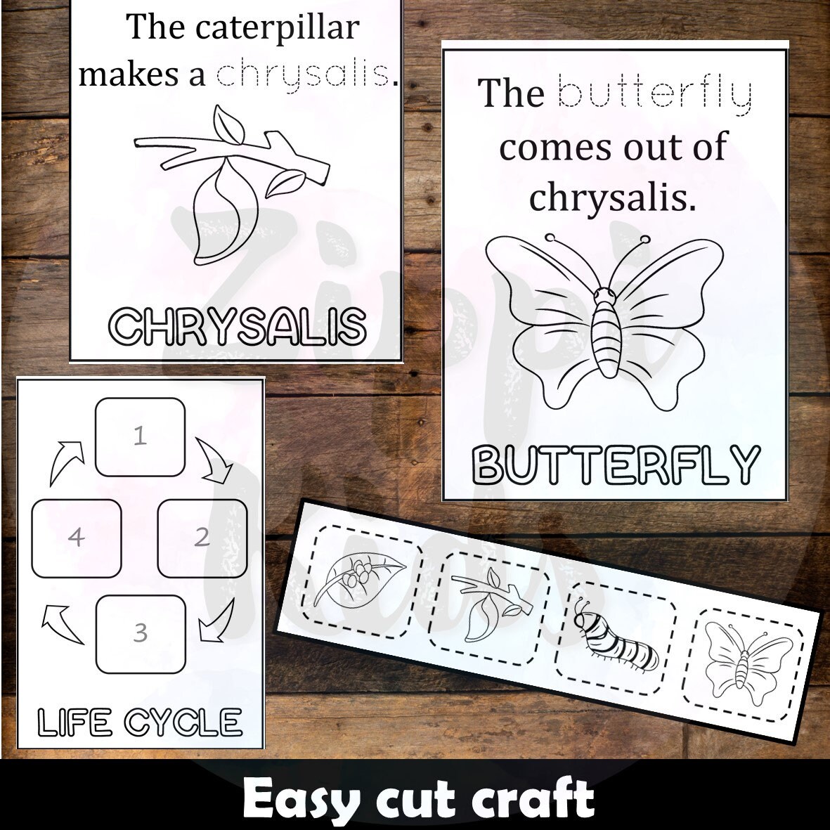 Life Cycle of a Butterfly Frog & Plant Flip Book Craft. - Etsy