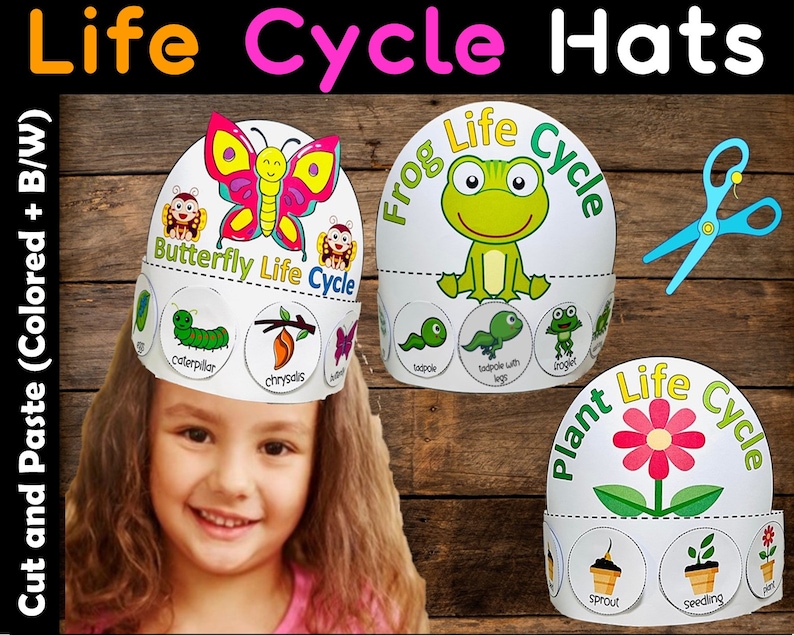 Life Cycle of a Butterfly, Frog & Plant Crown Craft. Printable Hats ...
