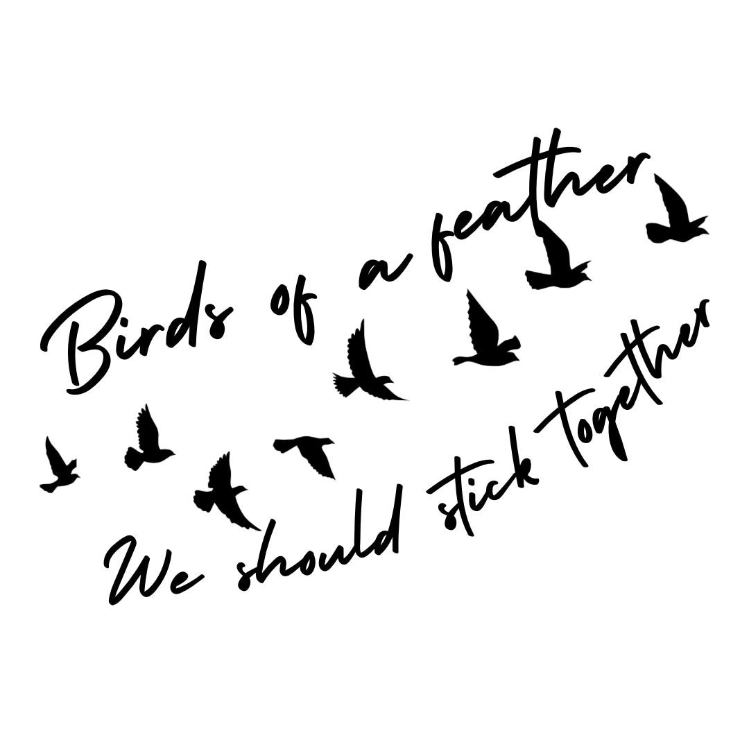Birds of a Feather We Should Stick Together SVG PNG Files Cricut Files Lyrics SVG Etsy
