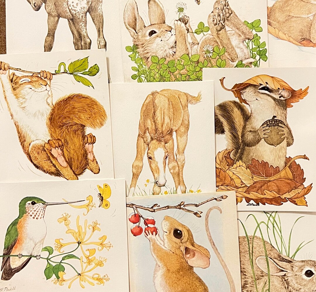 5 Blank Vintage Adorable Animal Note Cards - Etsy
