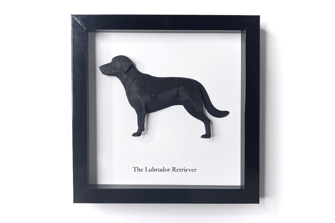 Labrador Retriever Art mural encadré imprimé en 3D Cadeaux pour les ...