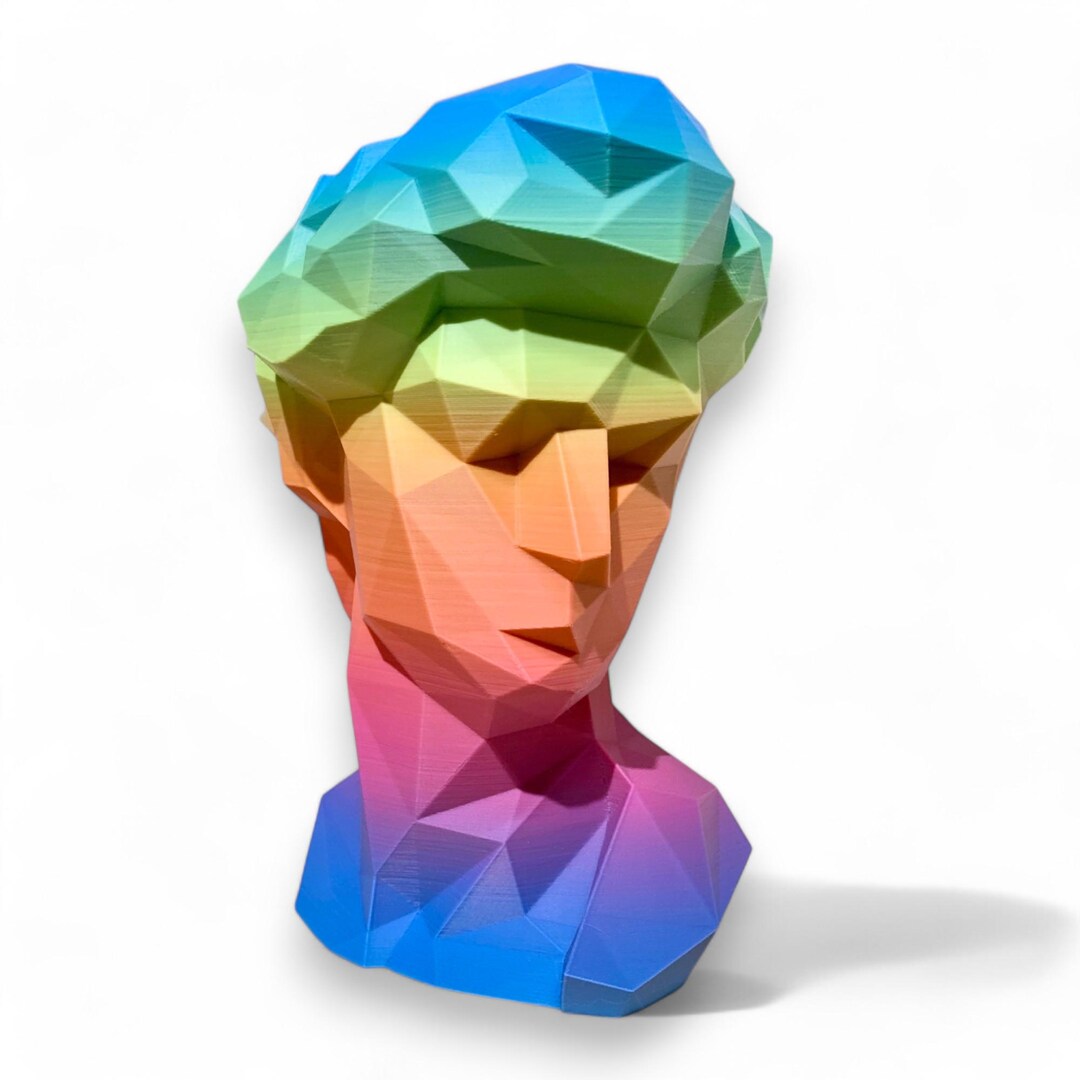 David Bust | Unique Low Poly Design of Michelangelo's David | Design by ...