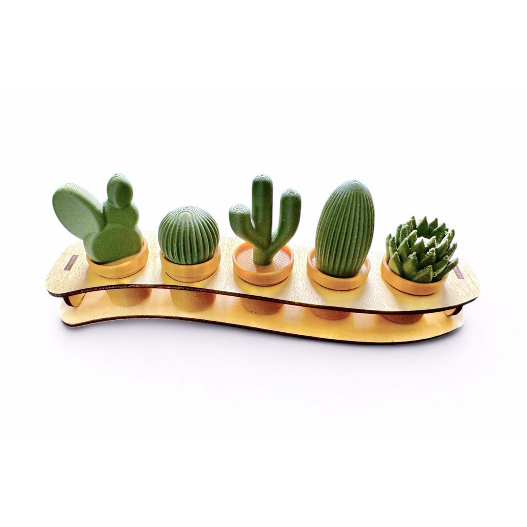 Tiny Plant Magnets - Set of 5 Succulent / Cactus Magnets for Your ...