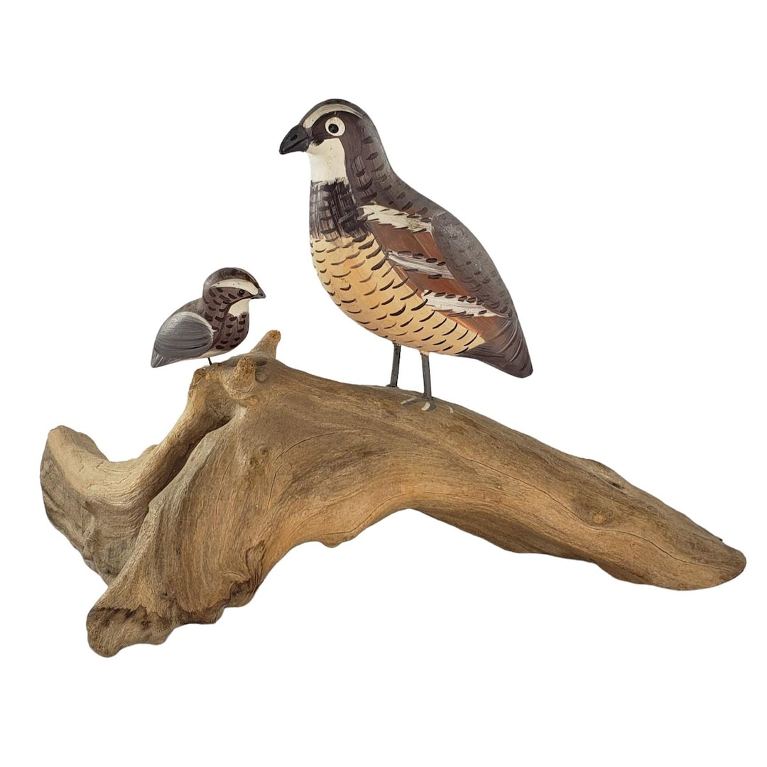 Hand Painted Carved Quail Driftwood Mama Bird Chick - Etsy