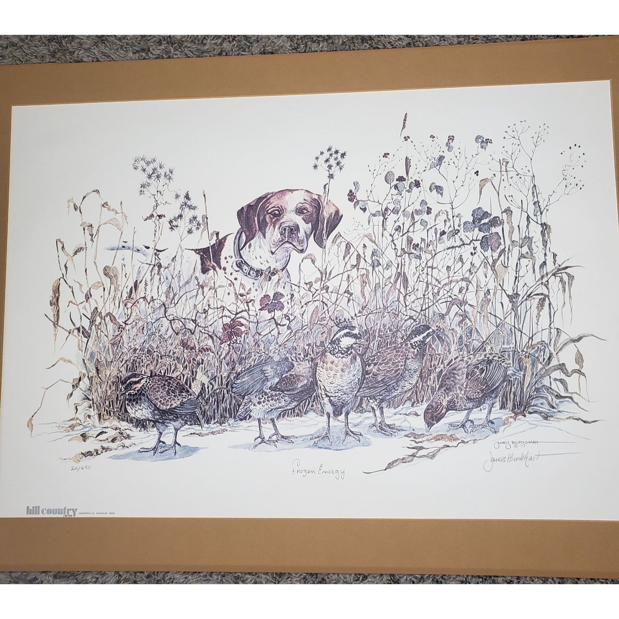 Listed Artist James Burkhart Art Lithograph Frozen Energy Bird - Etsy