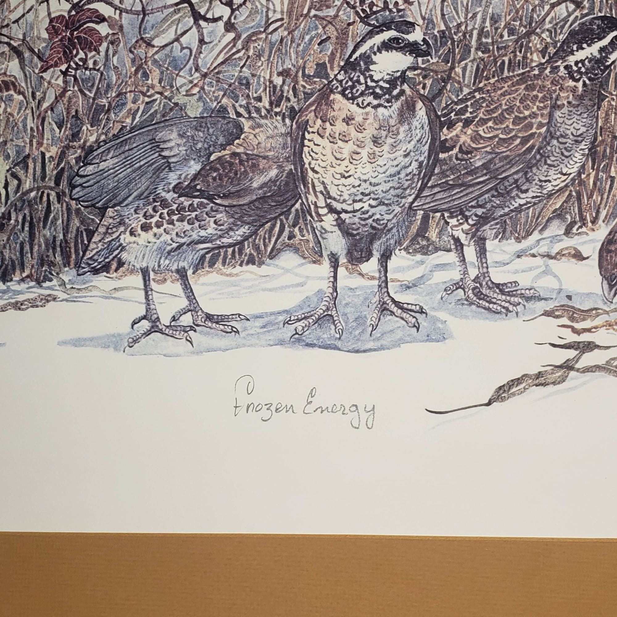 Listed Artist James Burkhart Art Lithograph Frozen Energy Bird - Etsy