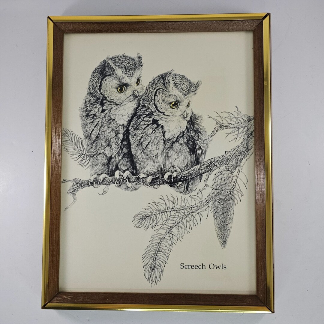 RARE Harold Mcintosh Cape Cod Artist Screech Owls Framed Print Framed ...