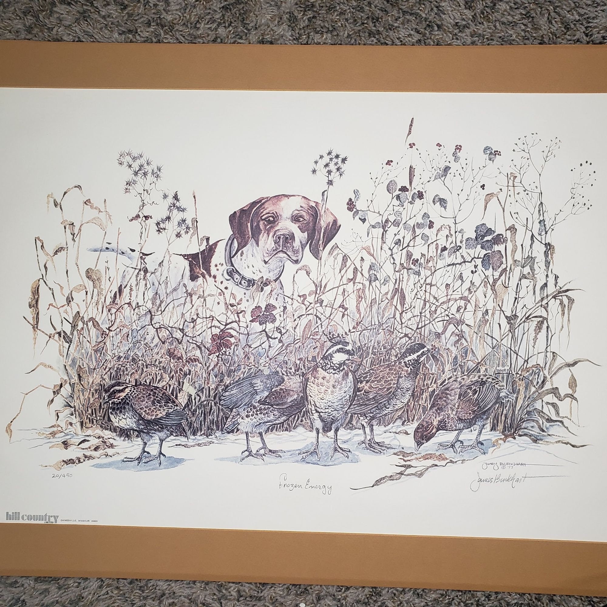 Listed Artist James Burkhart Art Lithograph Frozen Energy Bird - Etsy