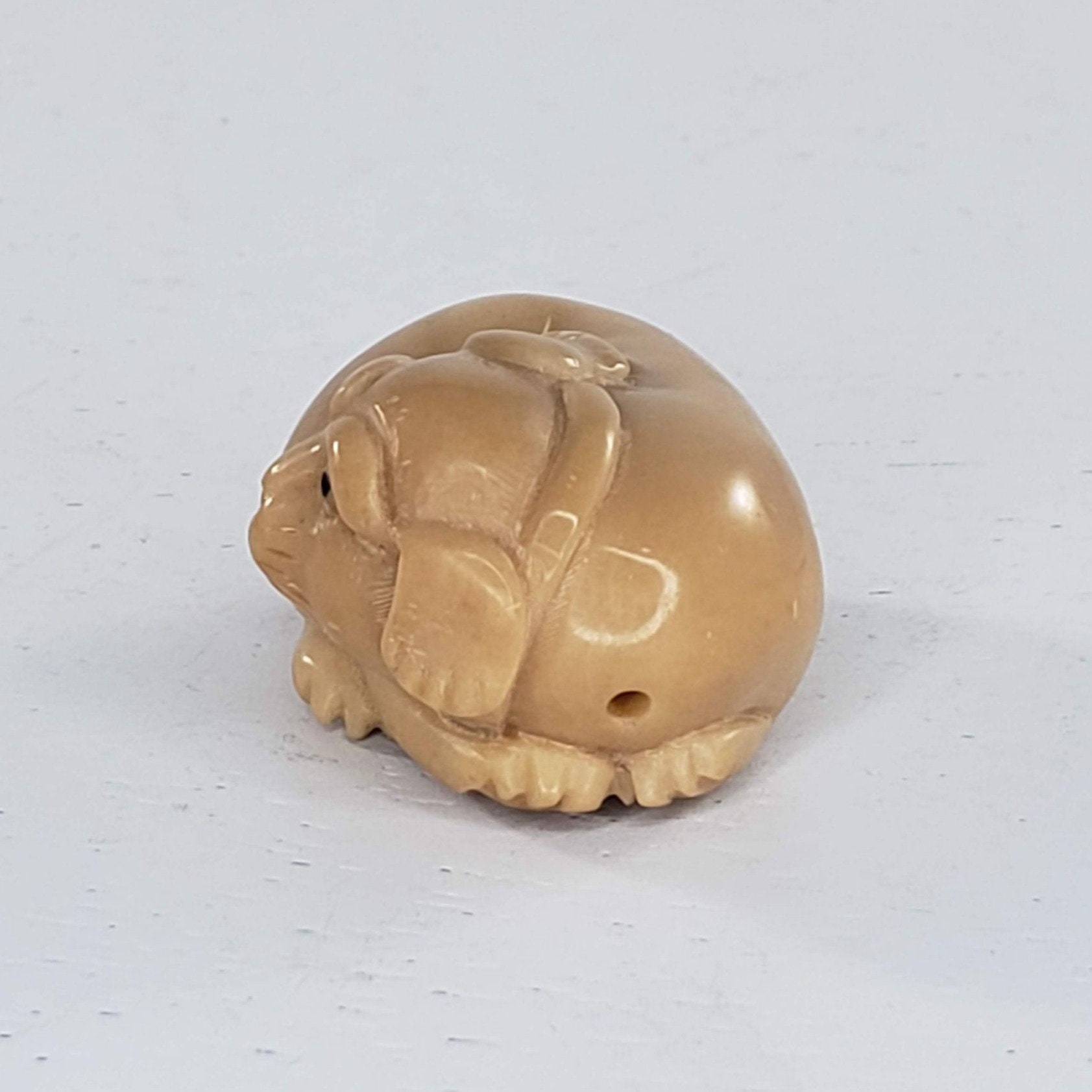 Japanese Netsuke Smiling Puppy Dog Signed Palm or Tagua Nut Figurine - Etsy