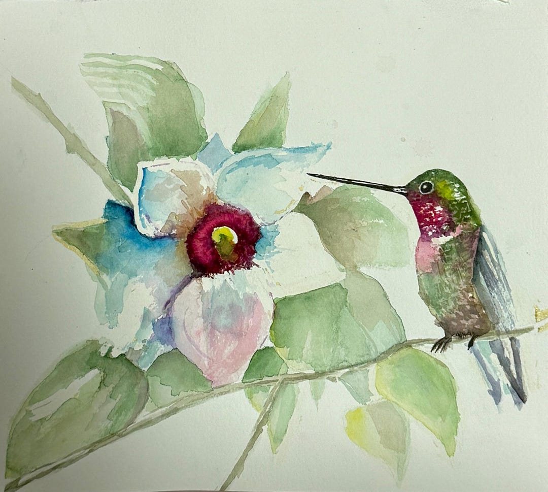 Hummingbird Watercolor Painting - Etsy