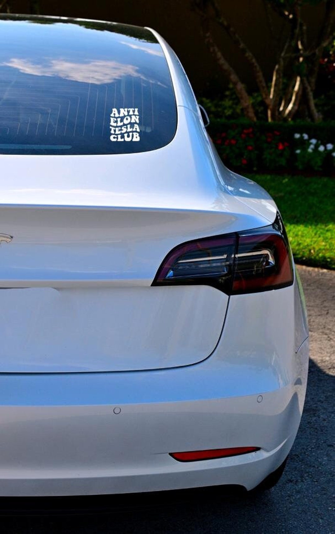Anti Elon Tesla Club Vinyl Decal | Window Sticker | Bumper Sticker for ...