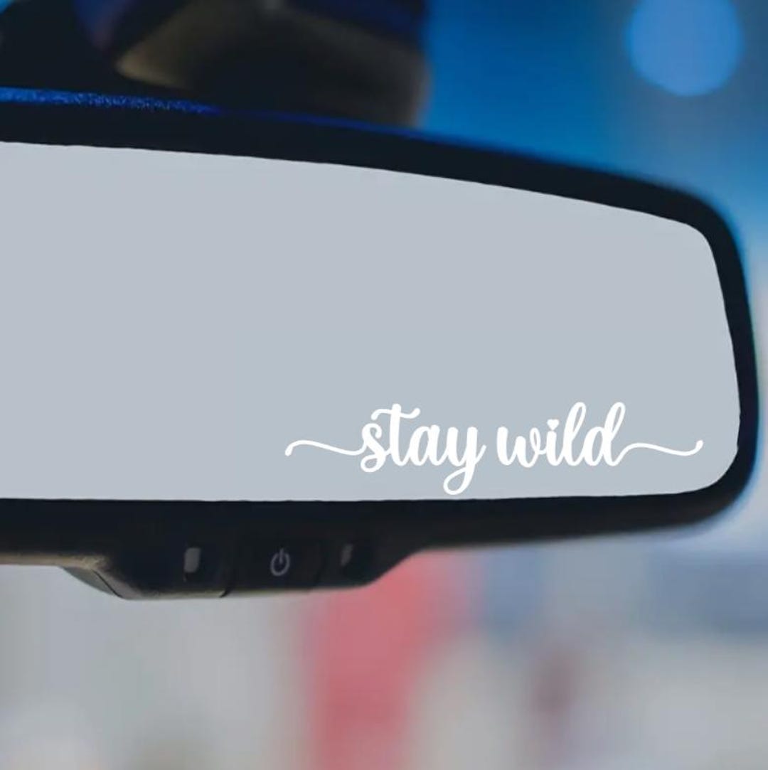 Stay Wild - Vinyl Decal | Mental Health Decal | Mental Awareness ...