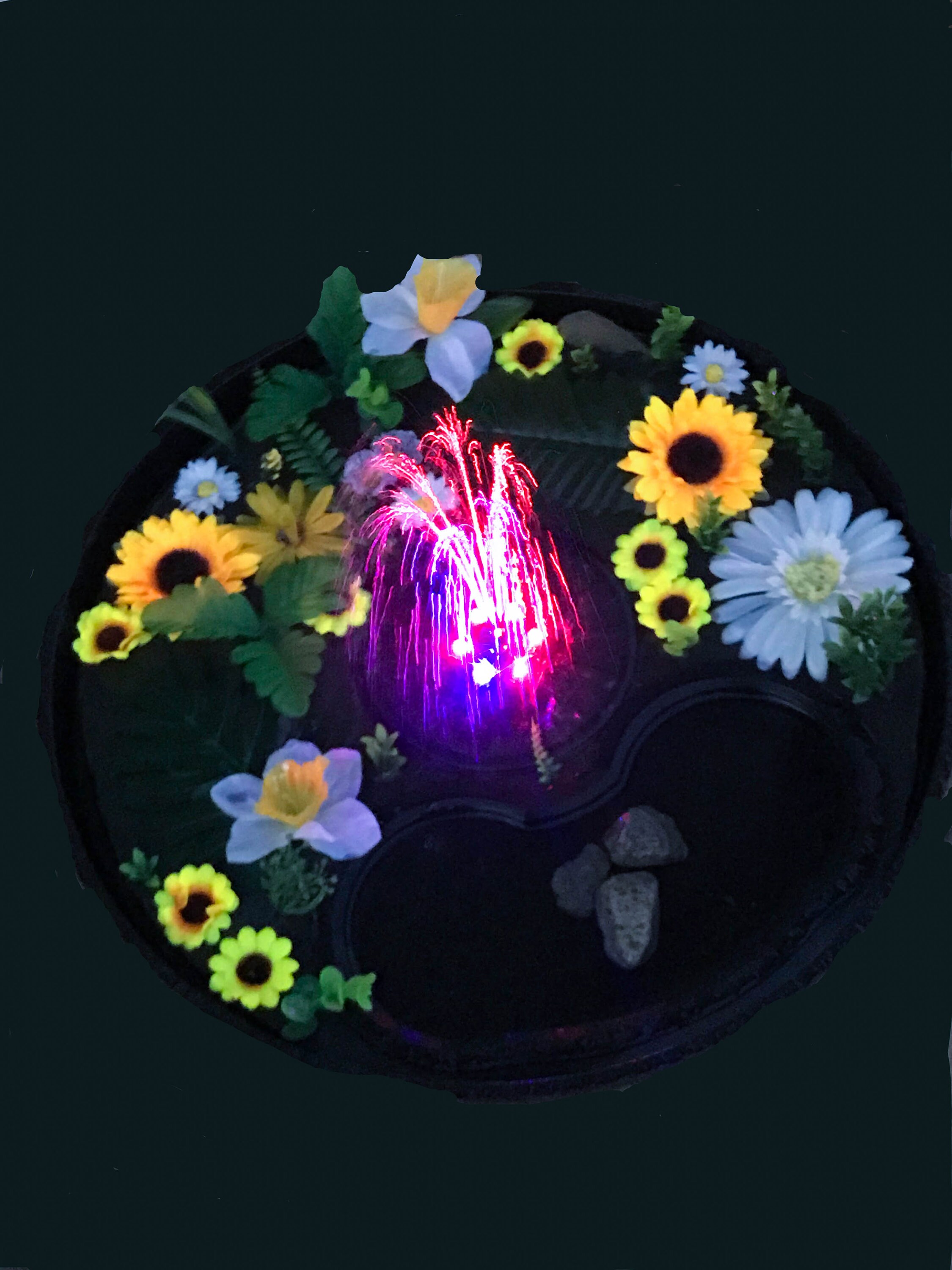 Bird Oasis™ | Floating Bird Bath & Fountain | Solar Powered LED Outdoor ...