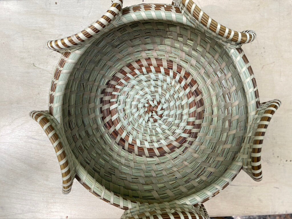 Medium Elephant Ear - Etsy