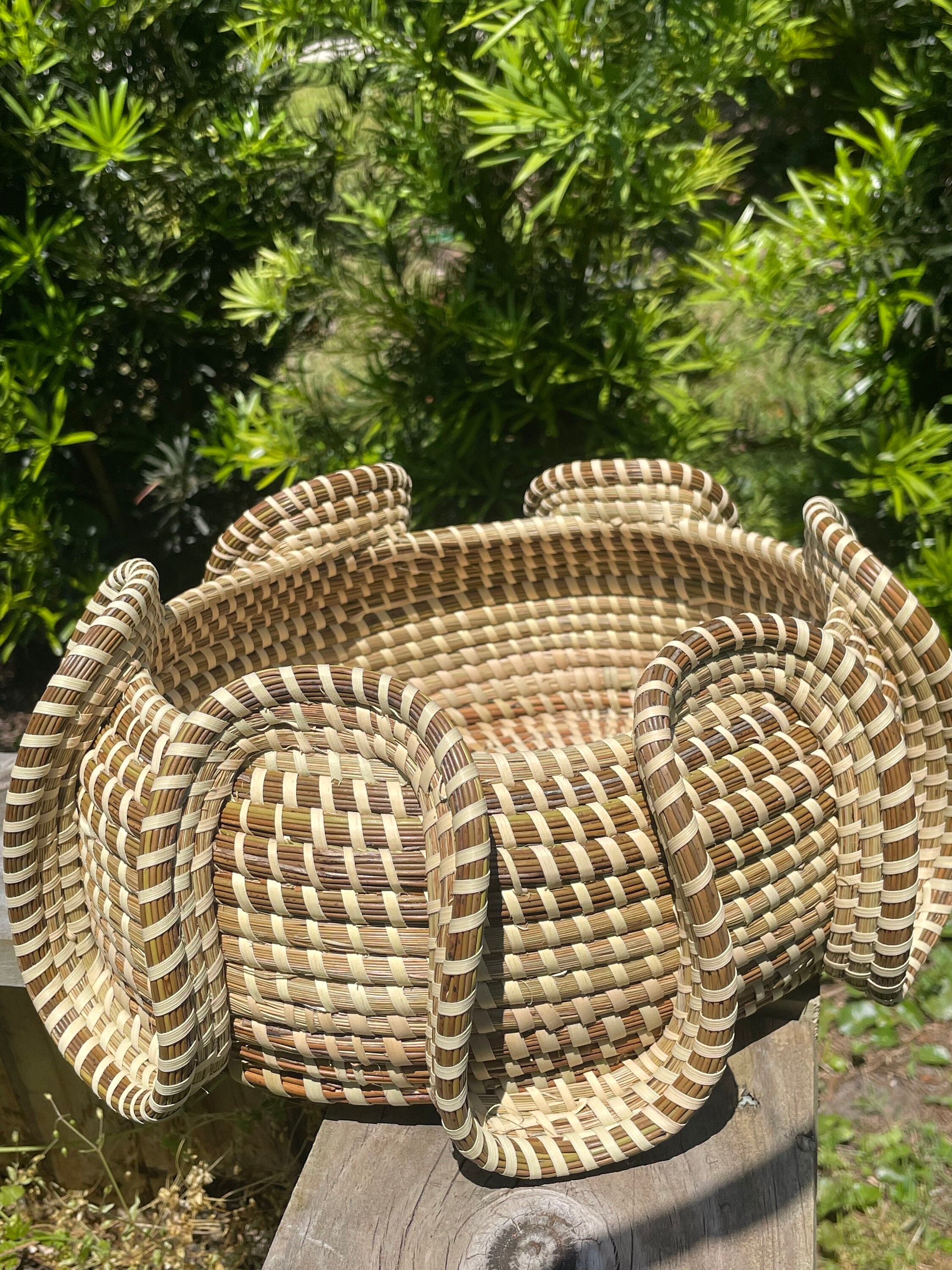 Elephant Ear Baskets - Etsy