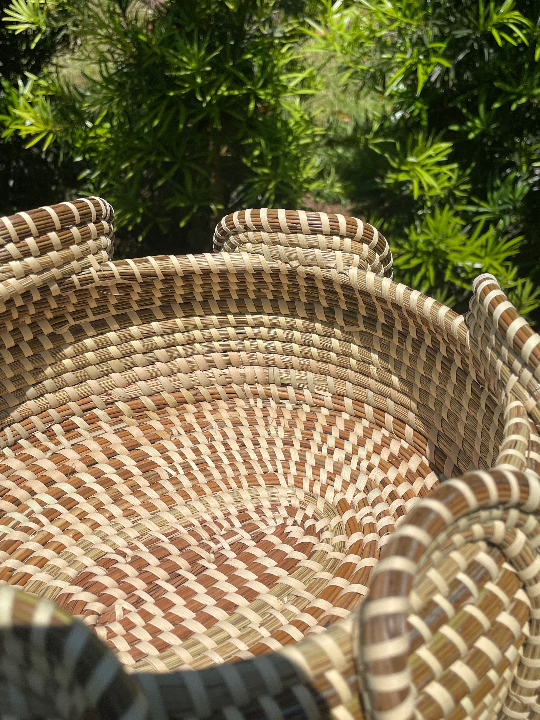Elephant Ear Baskets - Etsy
