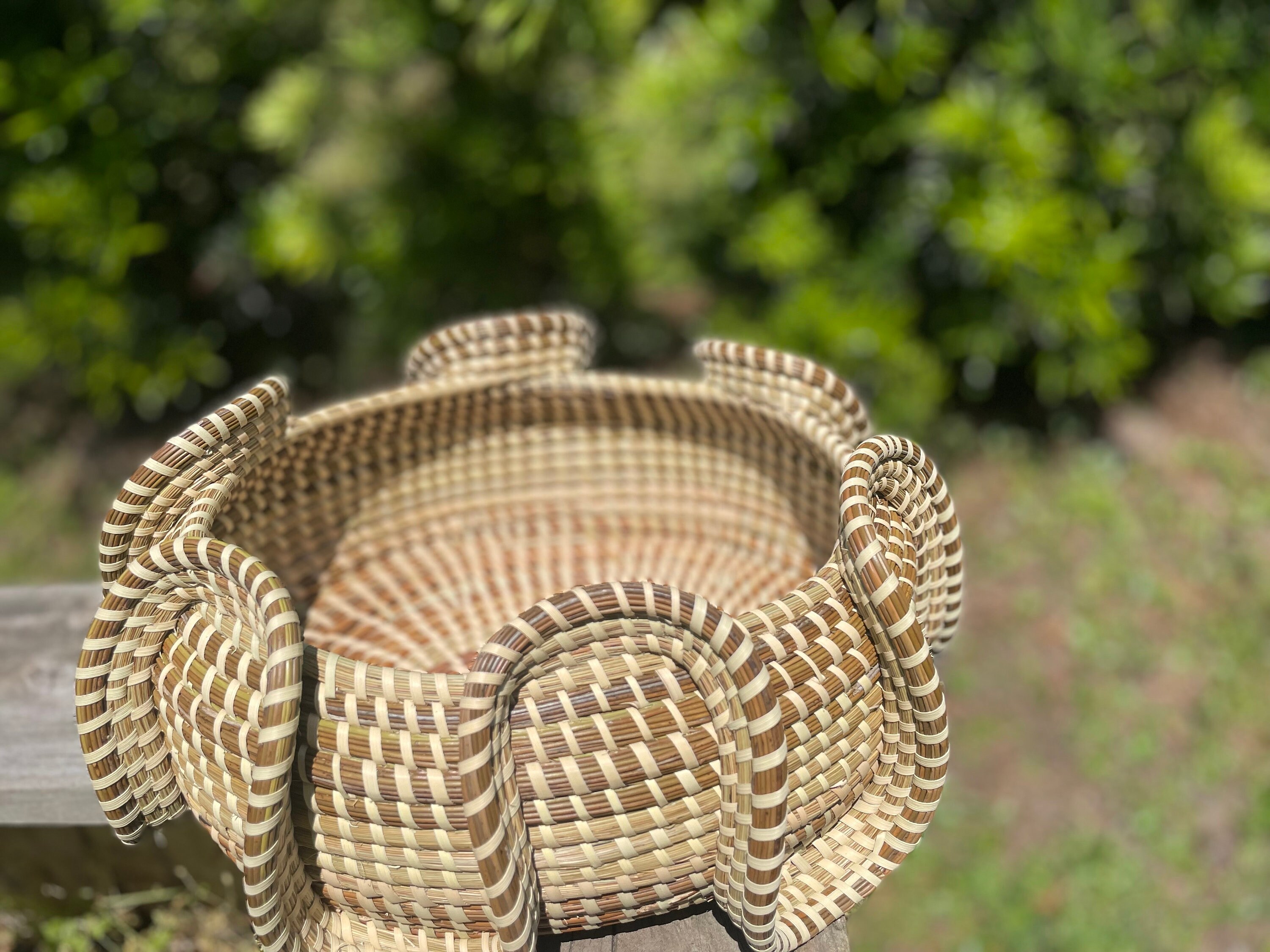Elephant Ear Baskets - Etsy